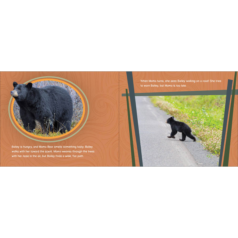 AdventureKEEN Bailey the Bear Needs Help! 53449 – Good's Store Online