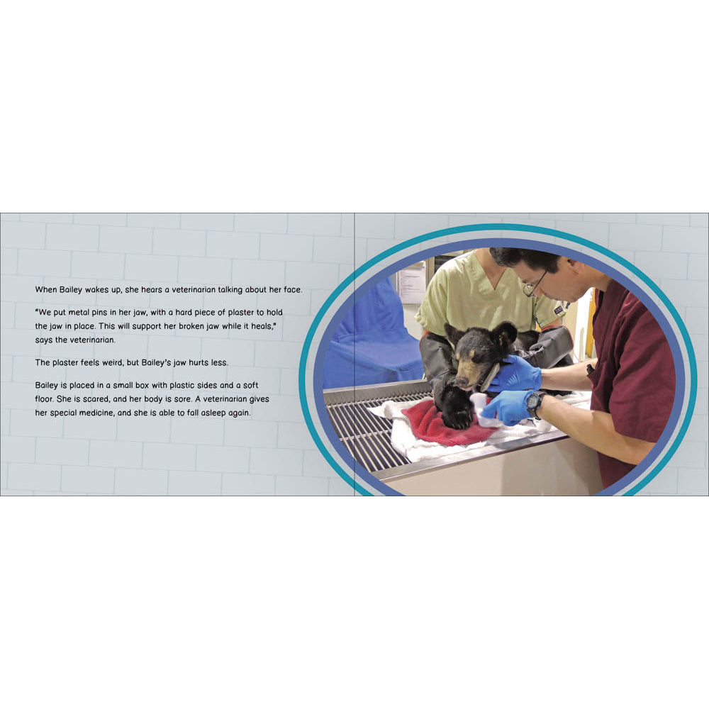 AdventureKEEN Bailey the Bear Needs Help! 53449 – Good's Store Online