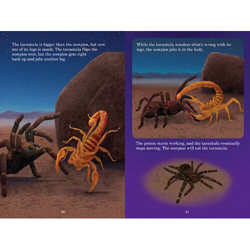 Scholastic Who Would Win? Tarantula vs Scorpion 9780545301725 – Good's ...