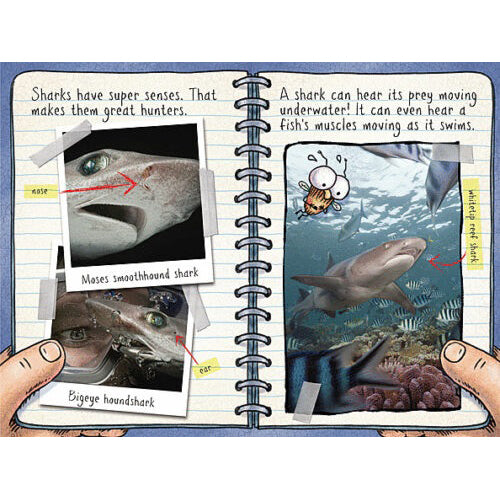 Scholastic Fly Guy Presents: Sharks 9780545507714 – Good's Store Online