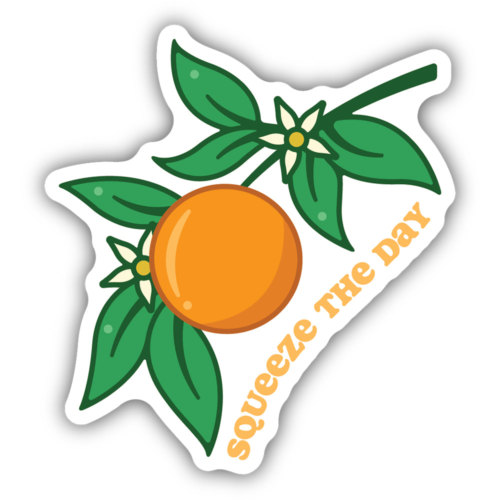 Stickers Northwest Squeeze the Day Orange Sticker 2741-LSTK – Good's ...