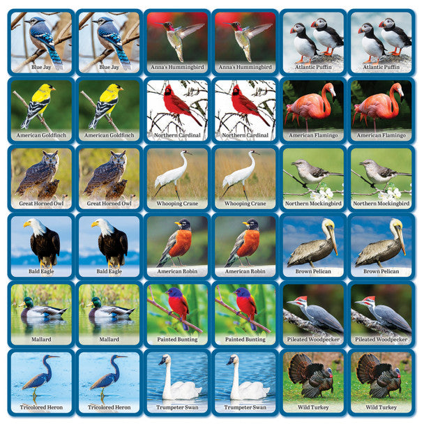 MasterPieces Audubon Bird Matching Game 42323 – Good's Store Online