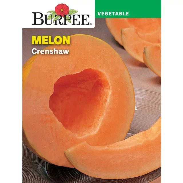 Burpee Crenshaw Melon Seed Pack 64488 – Good's Store Online