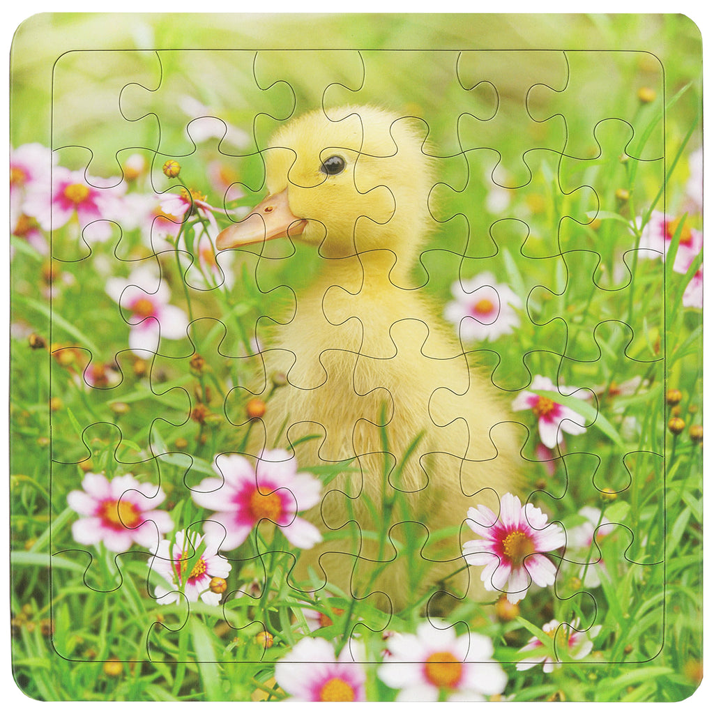 Creative Homes Downy Duckling 36-Piece Puzzle CH8425 – Good's Store Online