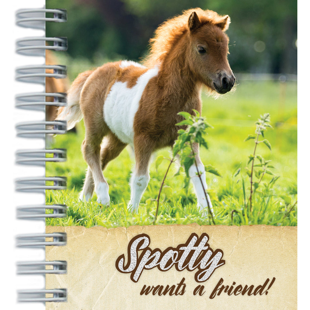 Faith View Creations Spotty Wants a Friend Chunky Tablet 5061 – Good's ...