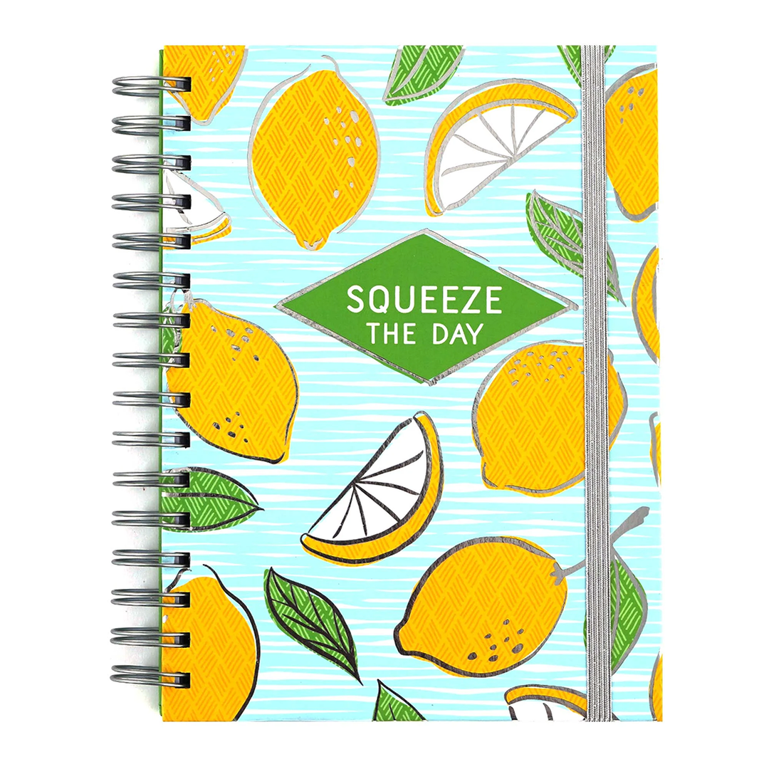 Flomo Squeeze the Day Spiral Journal JN1638 – Good's Store Online