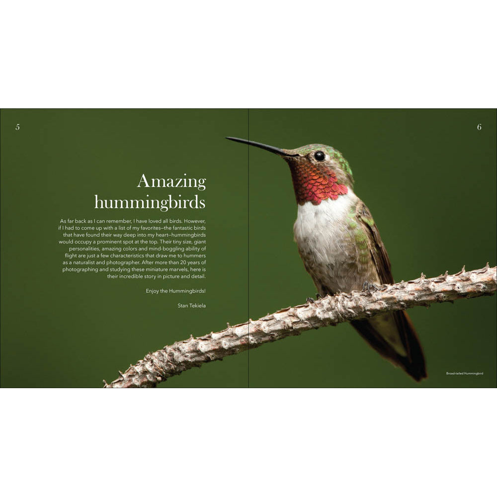 AdventureKEEN Hummingbirds 9781647552466 – Good's Store Online