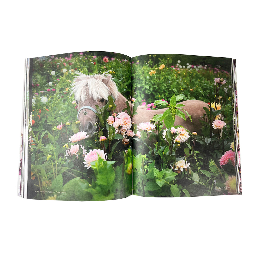 Lucille Martin Lucille's Floristry and Flower Garden – Good's Store Online