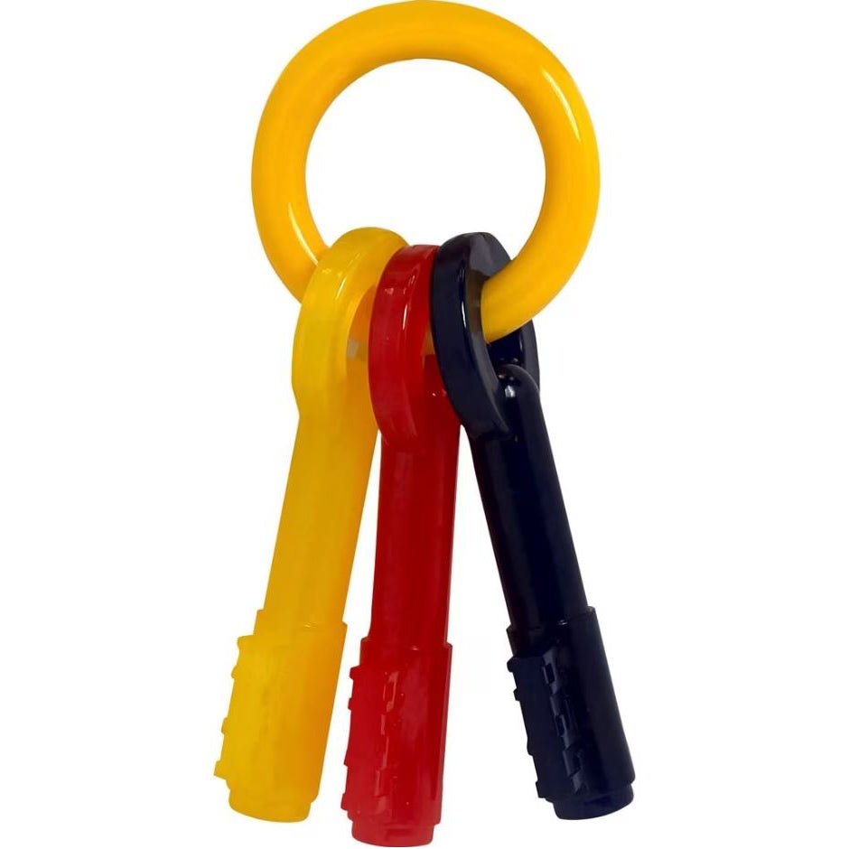 Nylabone Puppy Chew Teething Keys N-221 – Good's Store Online