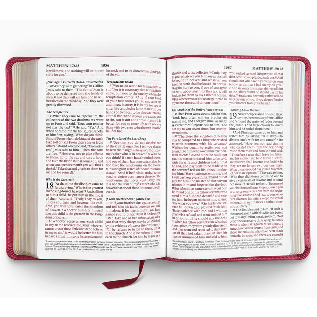 Crossway ESV Large Print Compact Bible 45571 – Good's Store Online